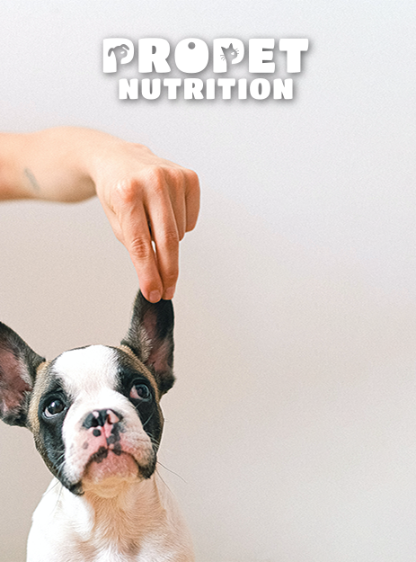 Articulaciones - Propet Nutrition