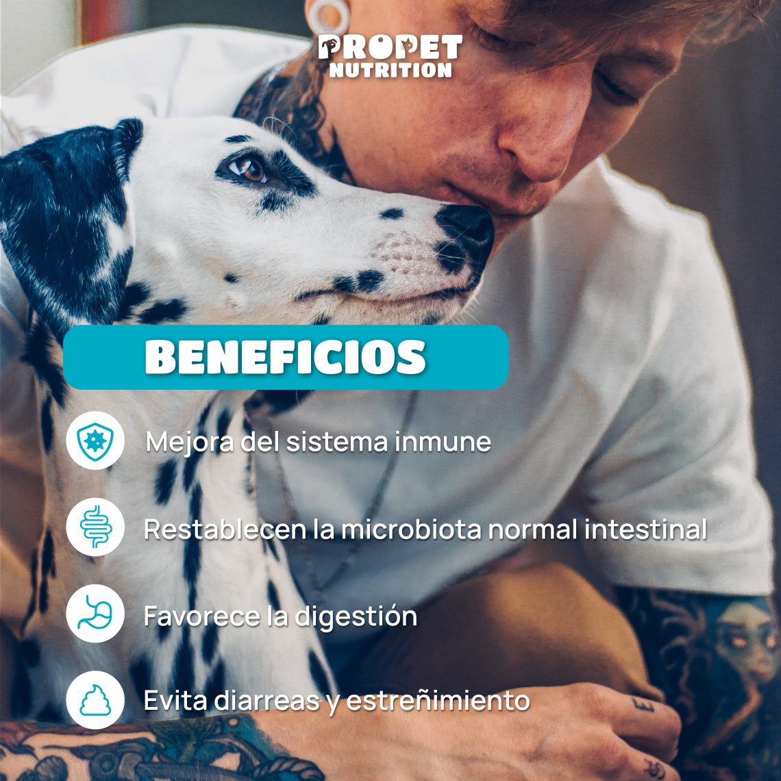 Probióticos Perros y Gatos - PROPET NUTRITION