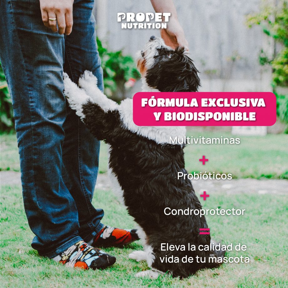 Vitaminas Perros y Gatos 20 en 1 - PROPET NUTRITION